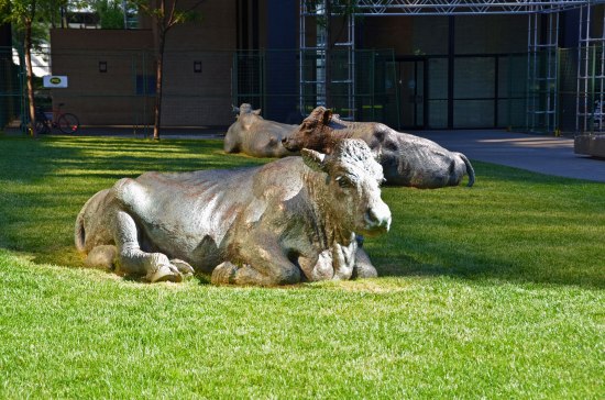 Urban Art: Bronze Cows in Toronto « O' Canada